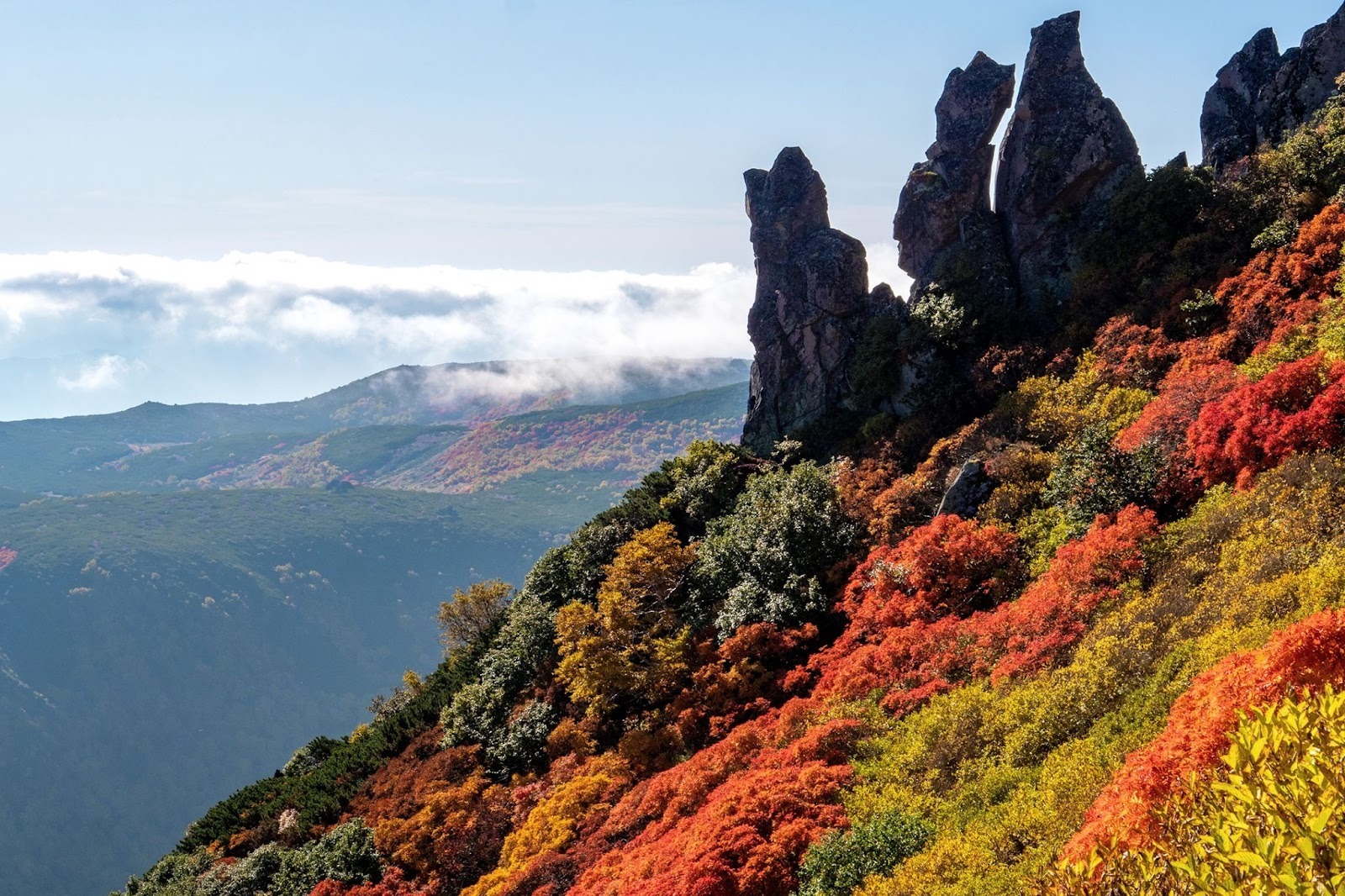 Bespoke Discovery | Nature Travel in Hokkaido in May｜A Sustainable and ...